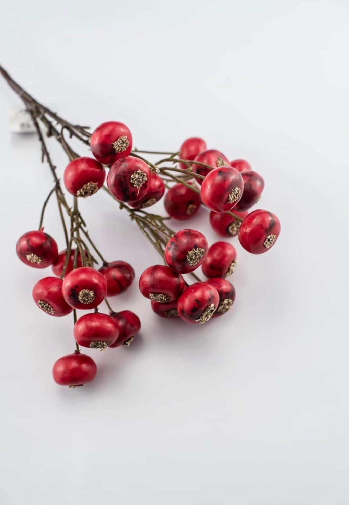 Berries, Pods, & Fruits – Greenery Market