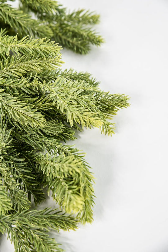 72" Soft Touch Norfolk Pine - Greenery Market