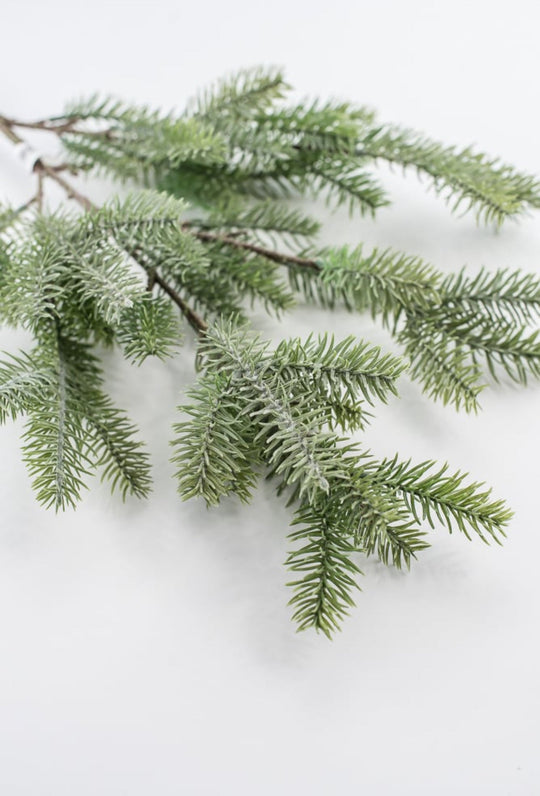 Tranquil Winter Escape – Greenery Market