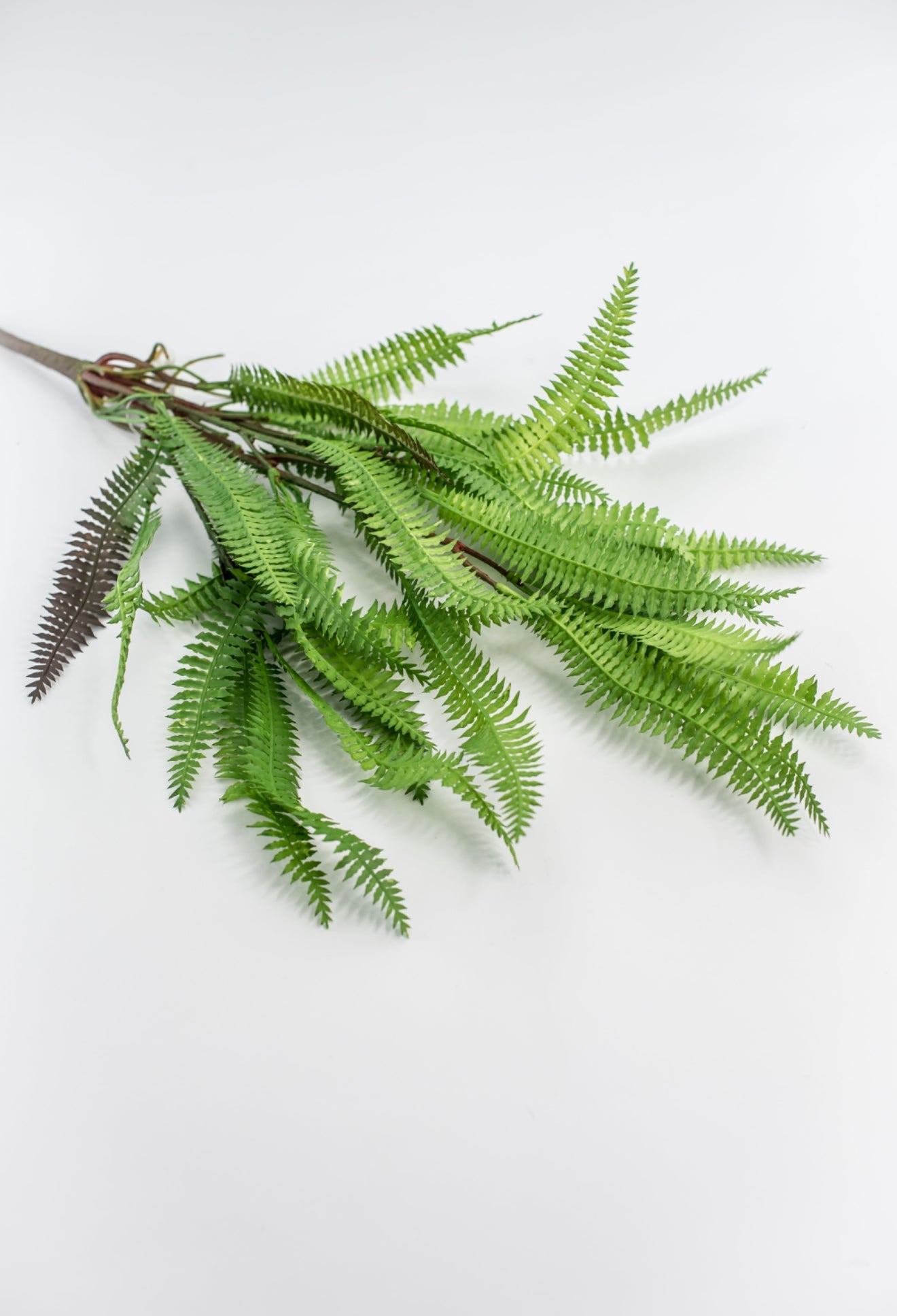 Artificial, feather fern plant - Greenery Market