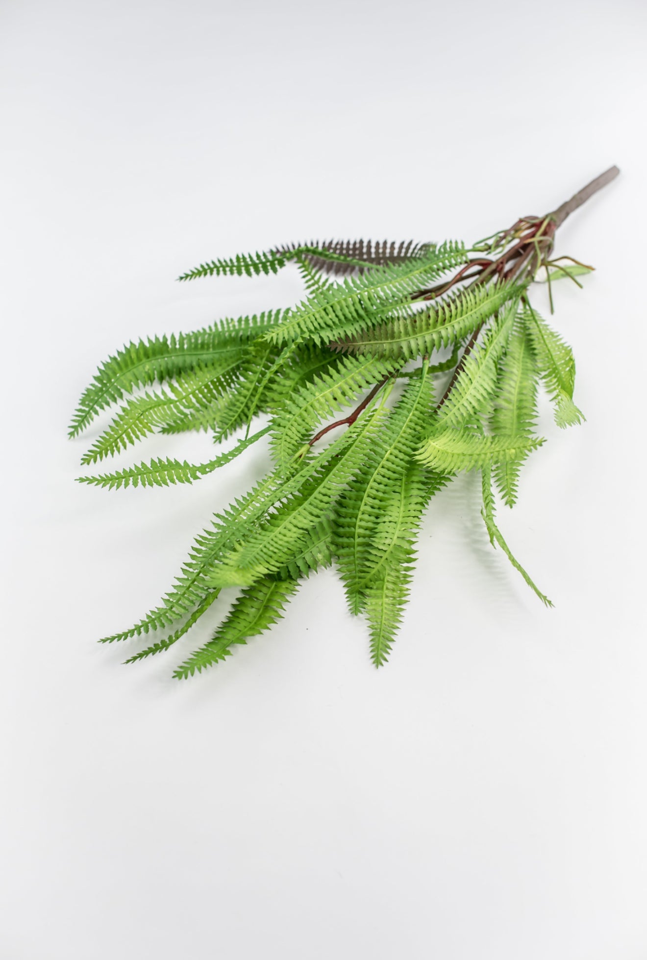 Artificial, feather fern plant - Greenery Market