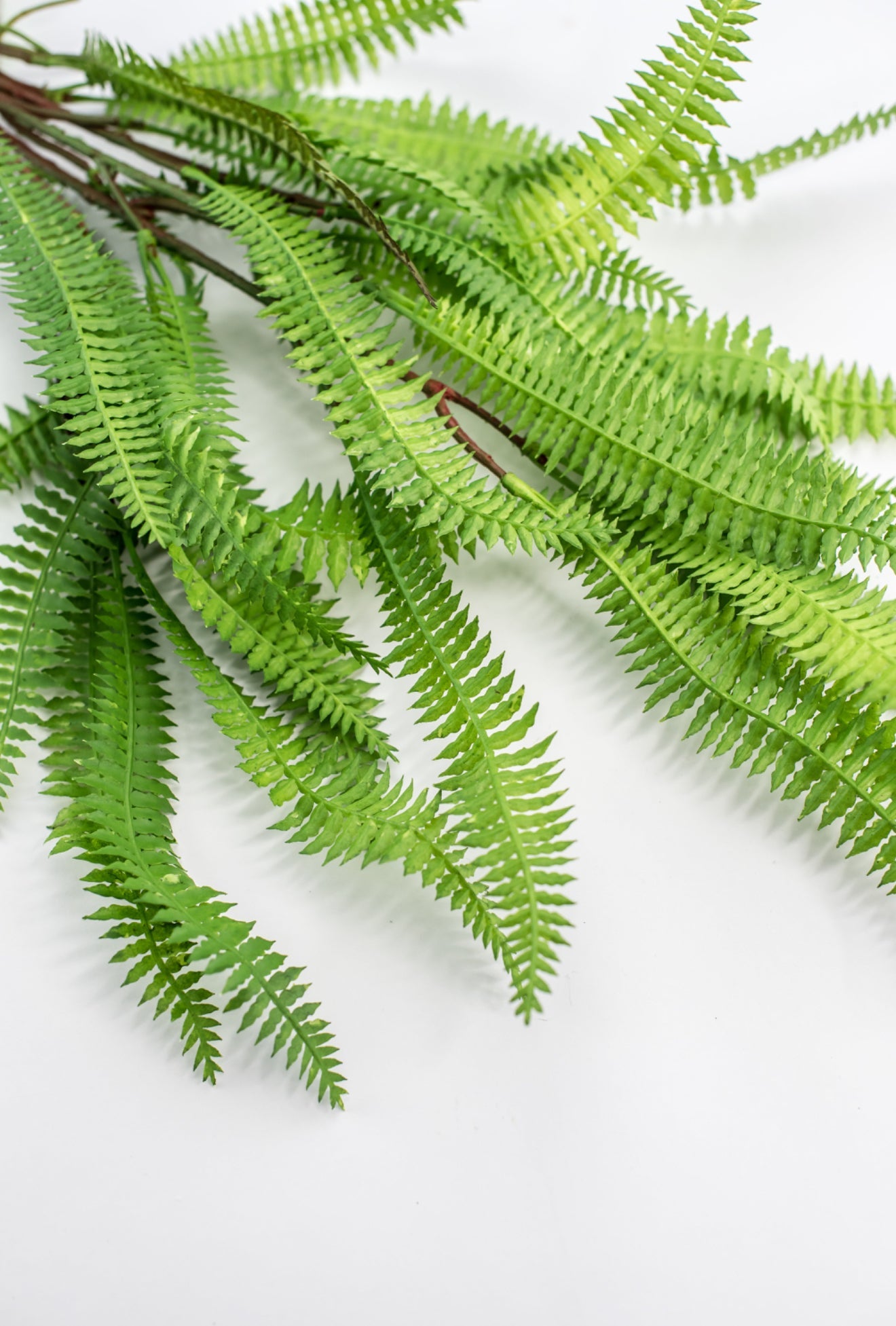 Artificial, feather fern plant - Greenery Market