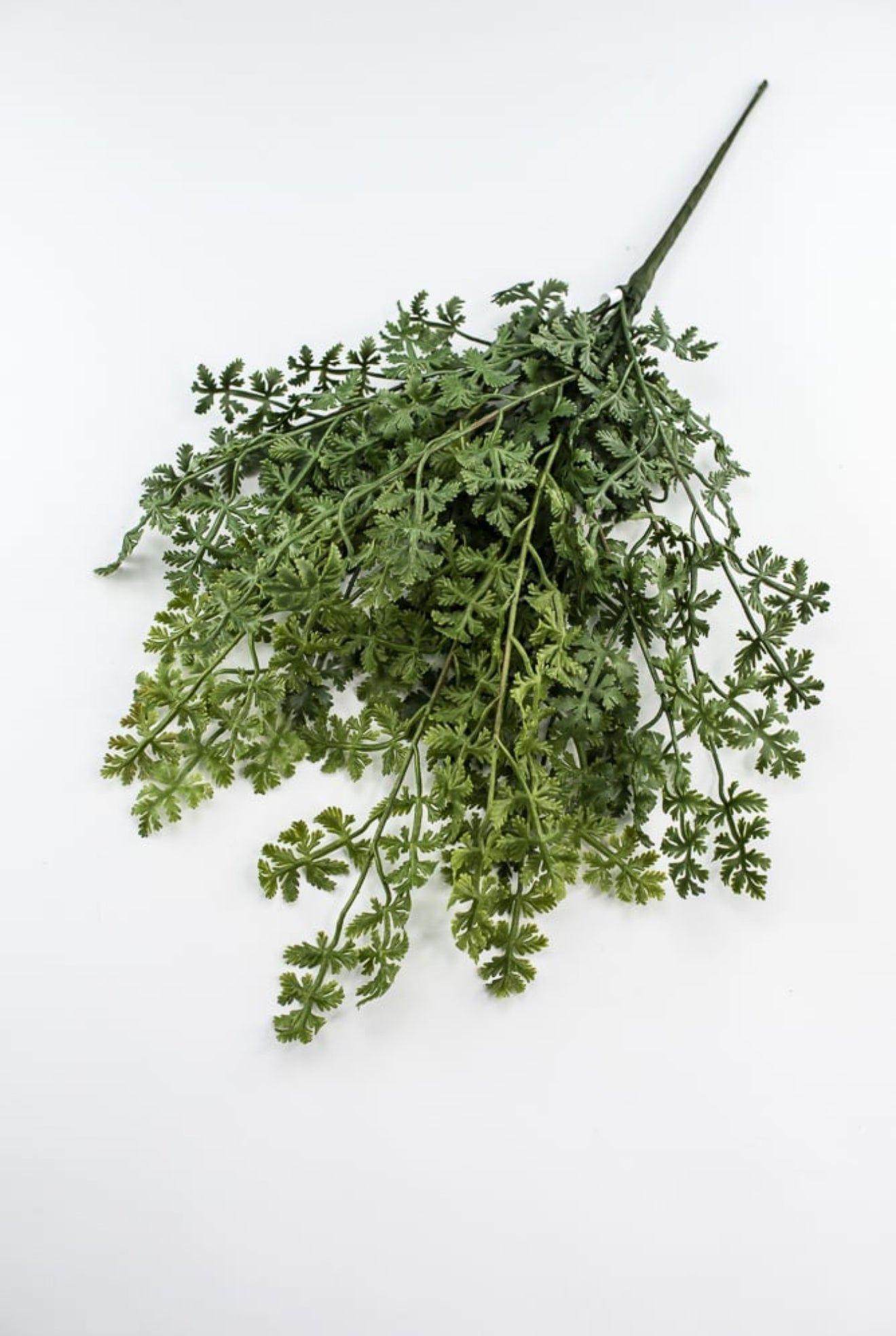 Artificial featherfew greenery bush - Greenery Market