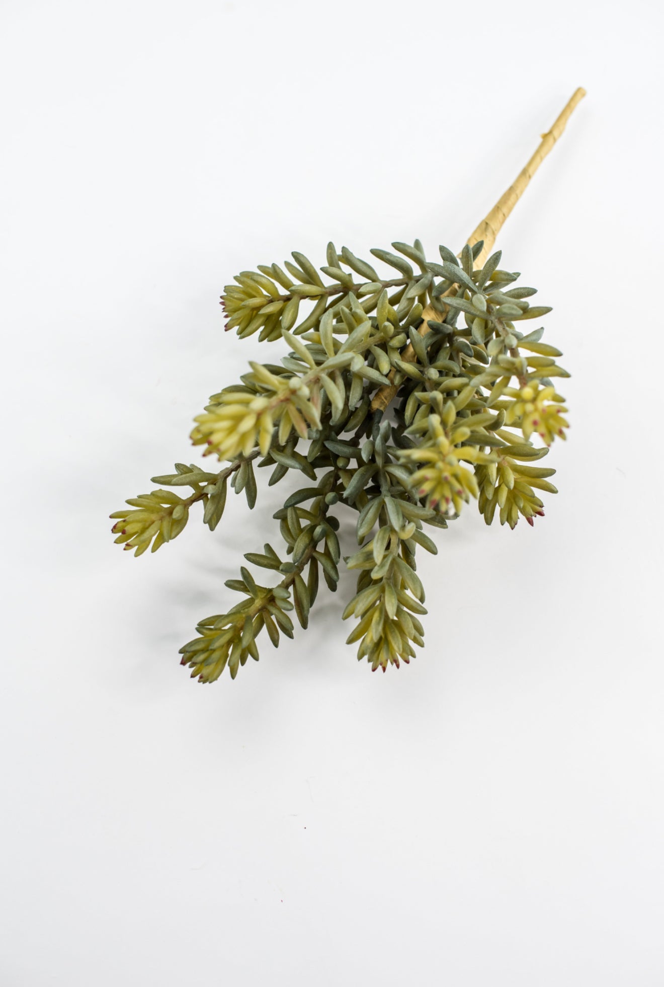 Artificial finger succulent pick - Greenery Market