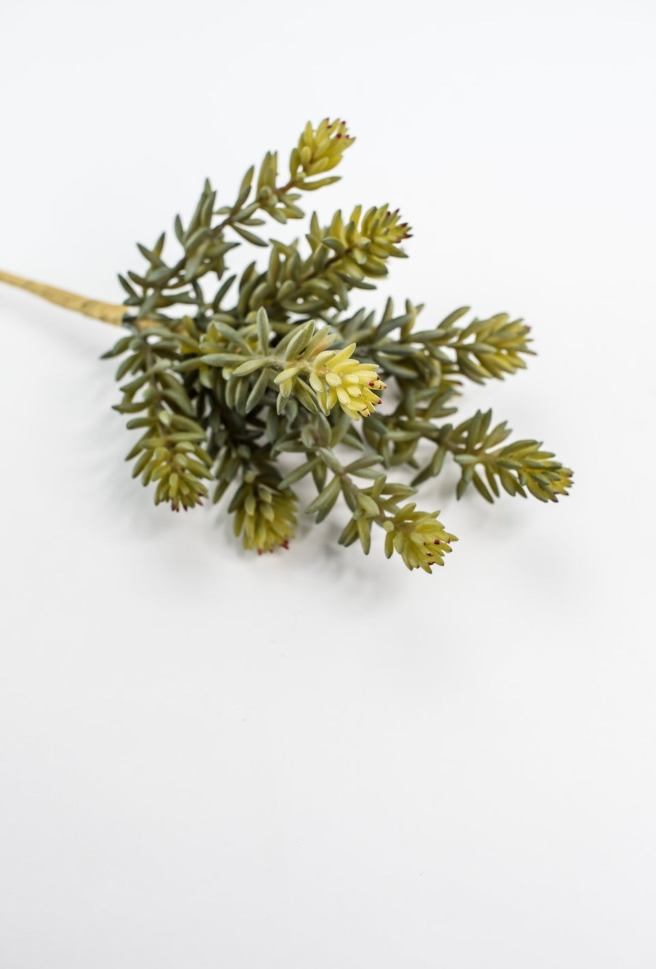 Artificial finger succulent pick - Greenery Market