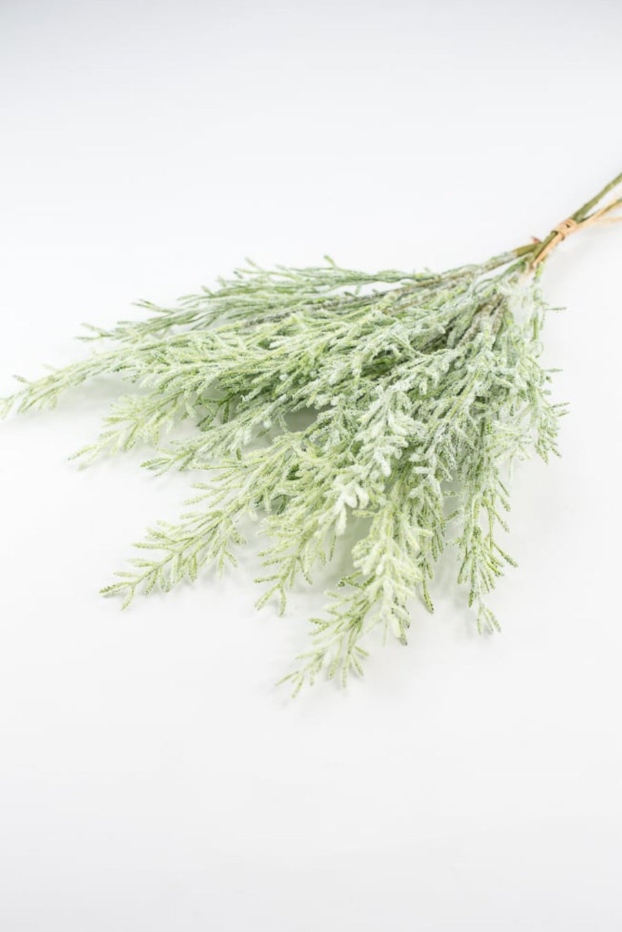 As Seen On SCW – Page 2 – Greenery Market