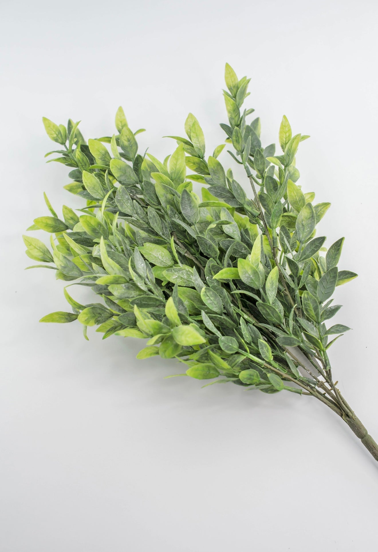 Artificial, Green, Ruscus Greenery Bush - Greenery Market