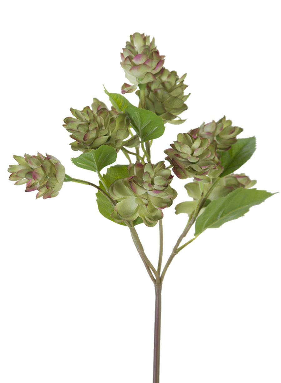 Shop The Look – Greenery Market