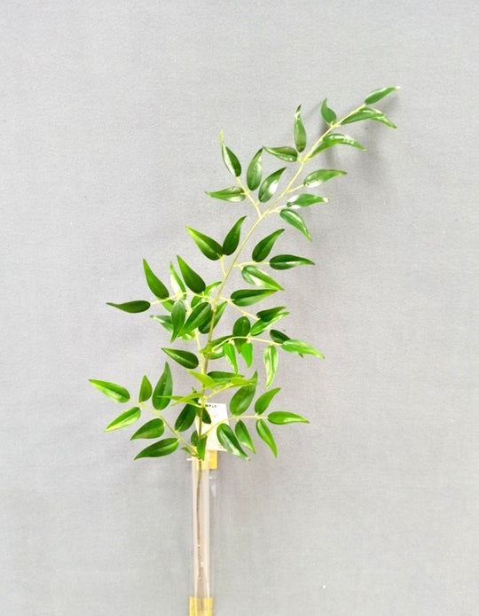 NEW – Greenery Market