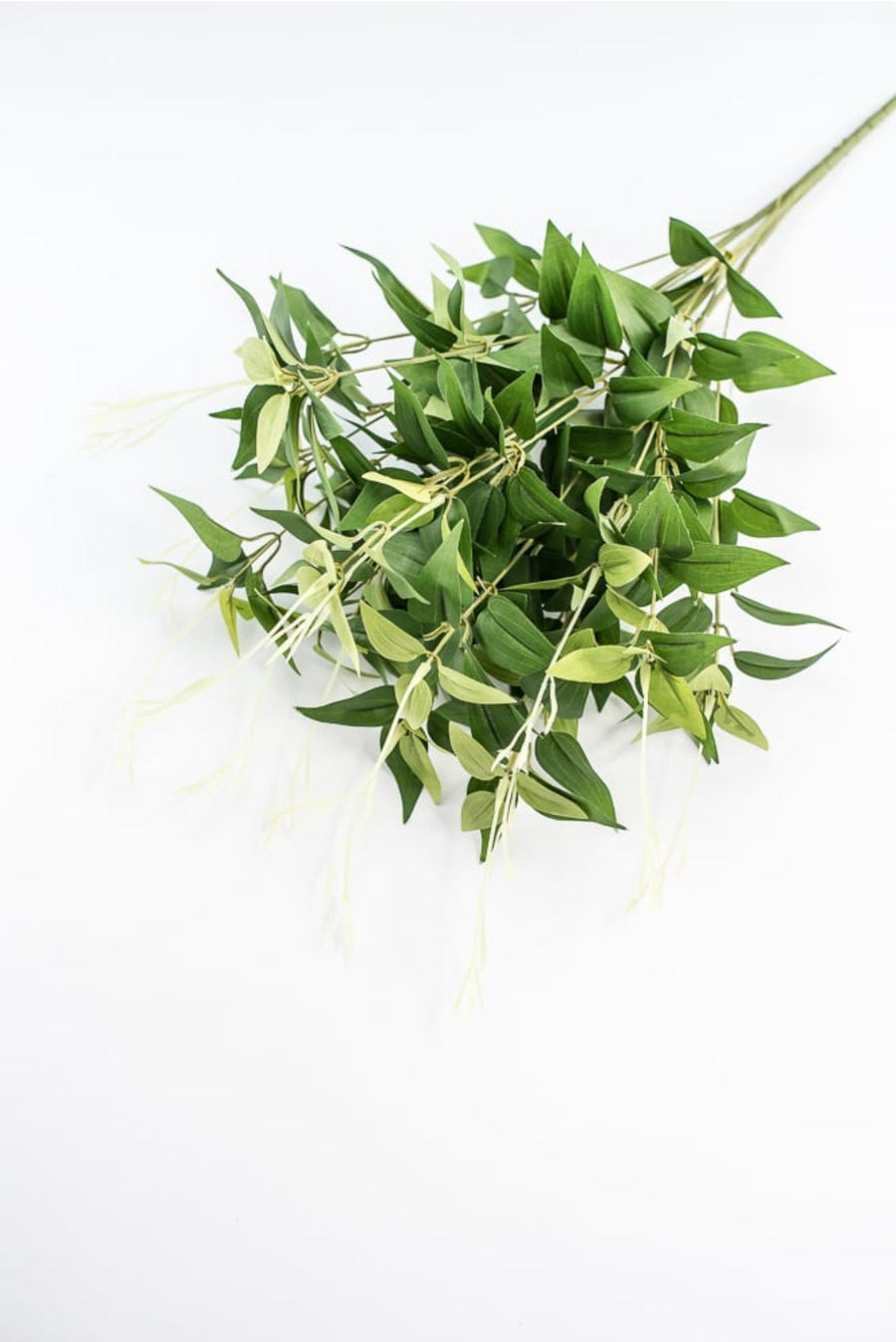 NEW – Page 10 – Greenery Market