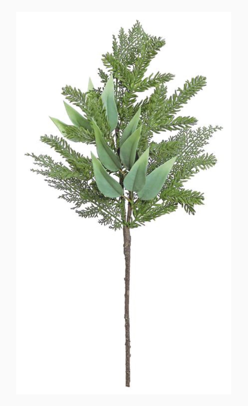 Winter greenery – Greenery Market