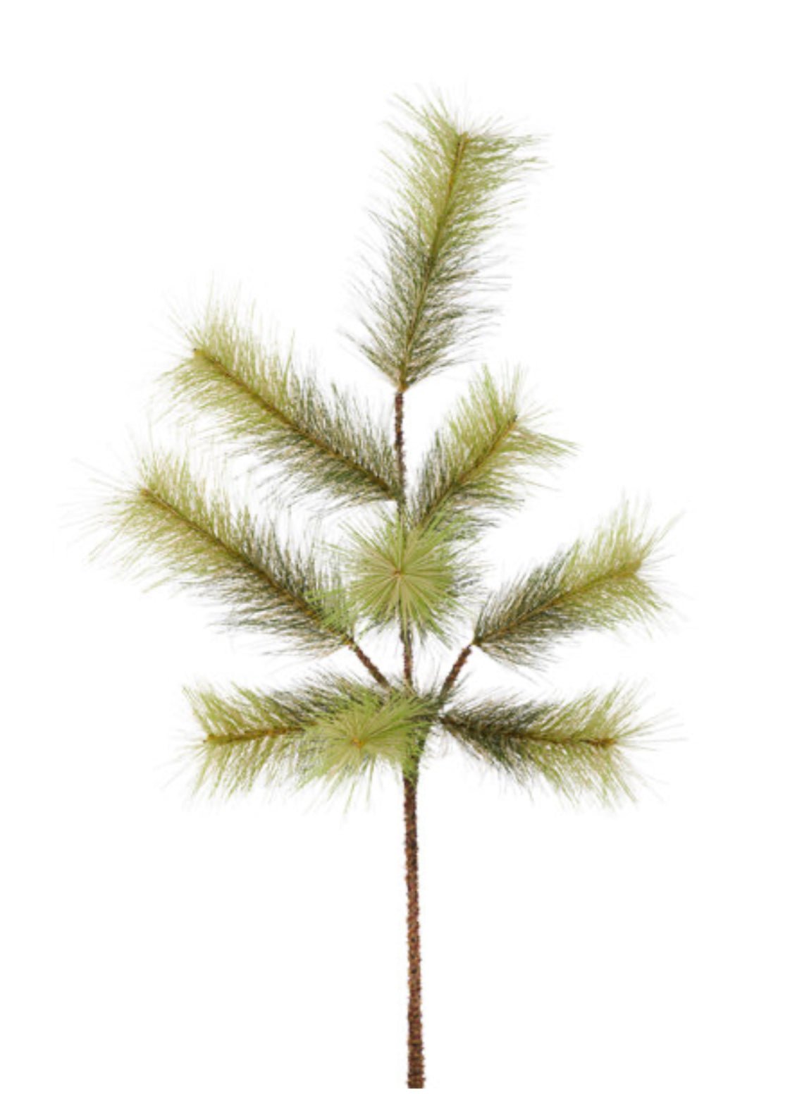 Christmas pine and greenery – Greenery Market