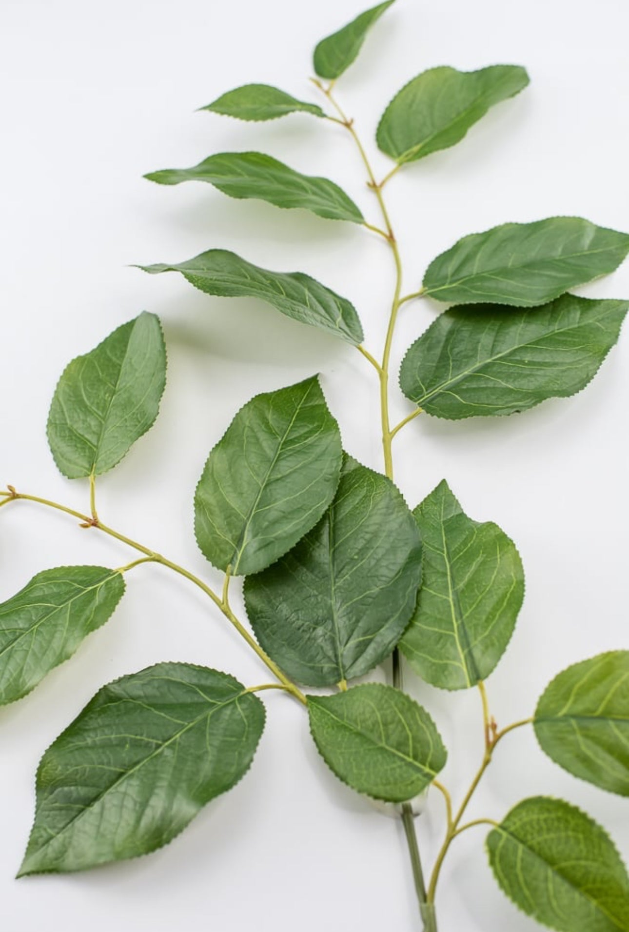 Artificial, salal leaf, natural touch spray - Greenery Market