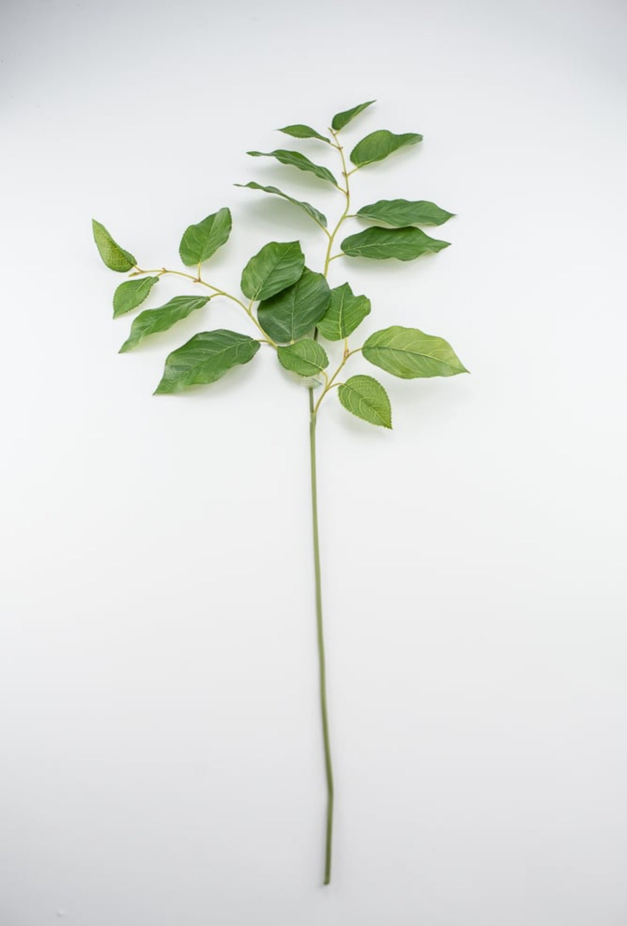 Artificial, salal leaf, natural touch spray - Greenery Market