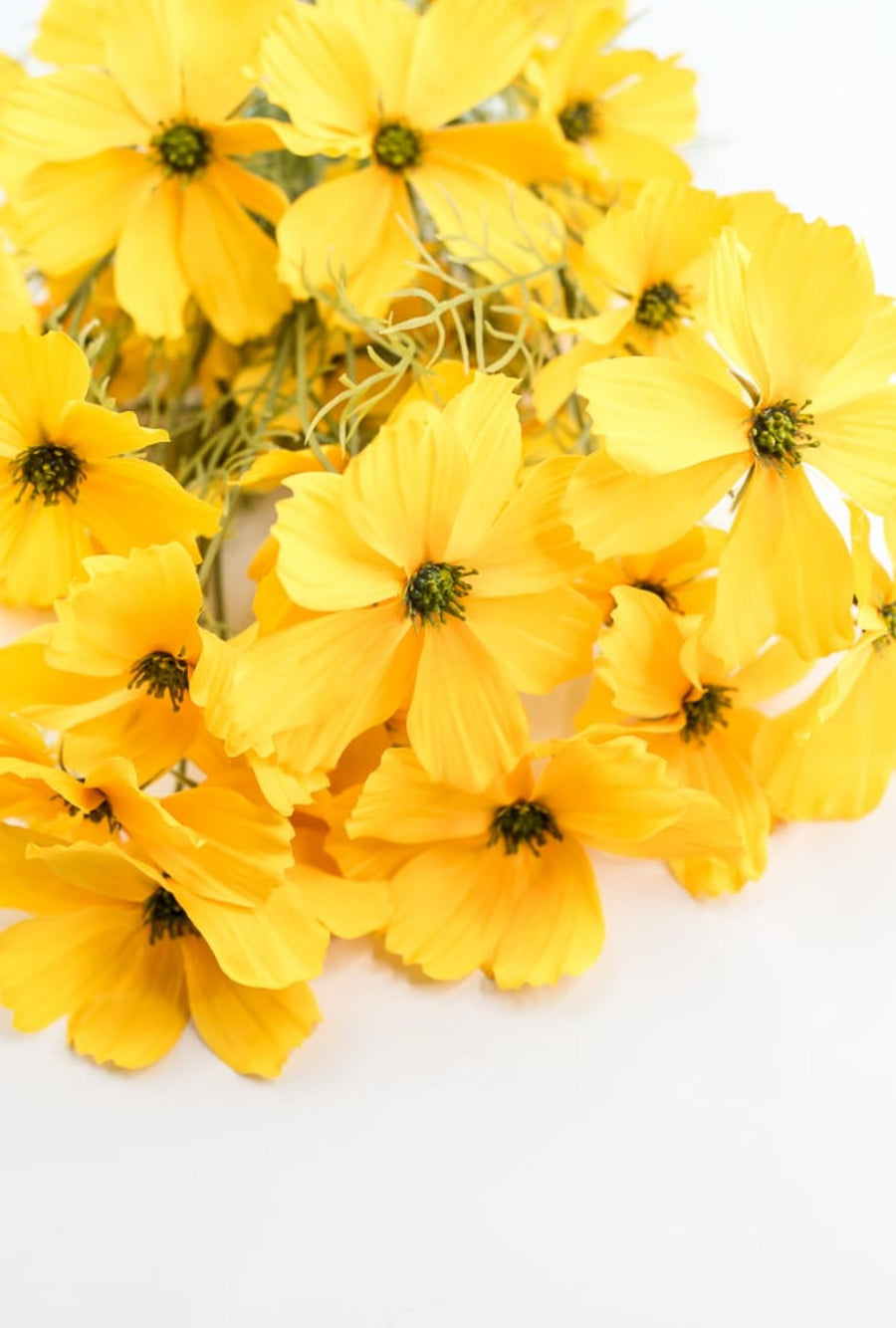 Artificial, Yellow, Garden Cosmos Bush - Greenery Market