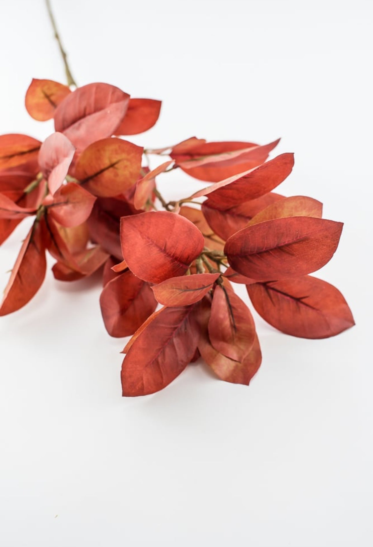 Autumn leaf spray - burgundy rust - Greenery Market