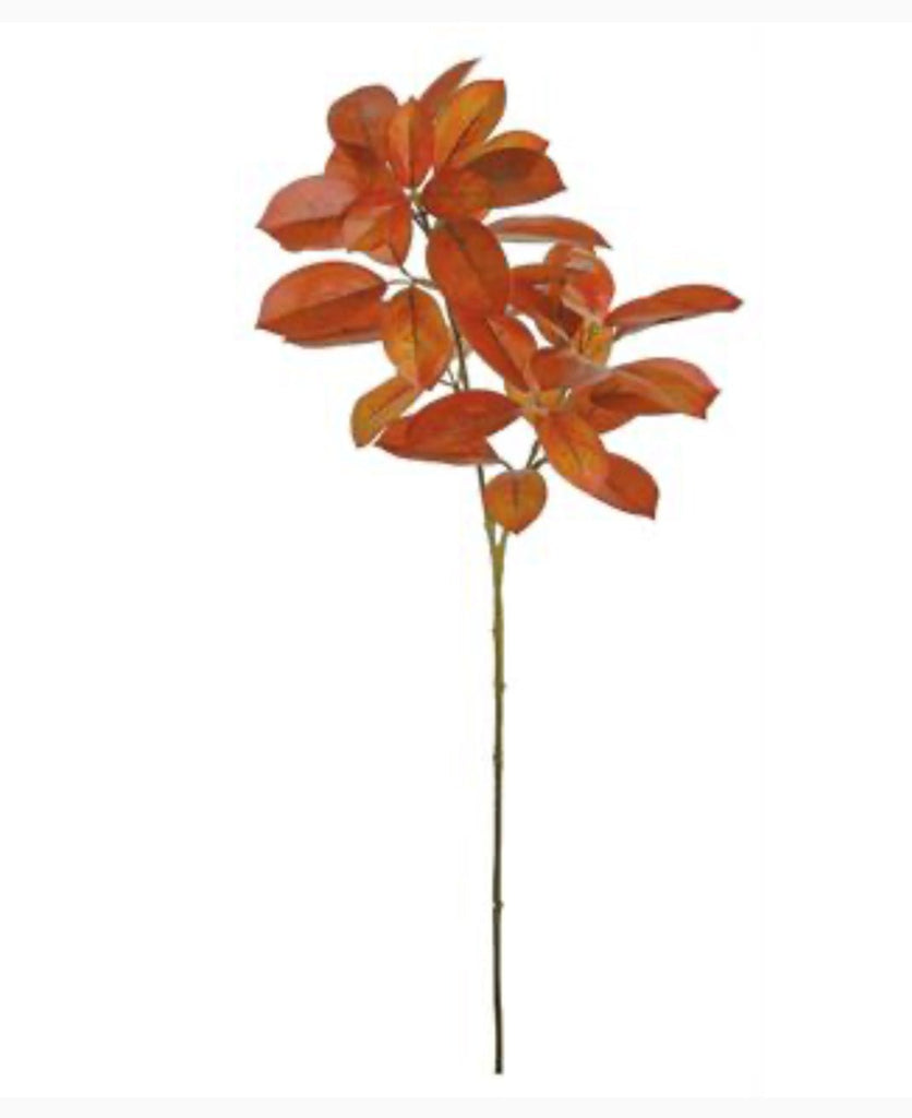 Autumn leaf spray - burgundy rust - Greenery Market