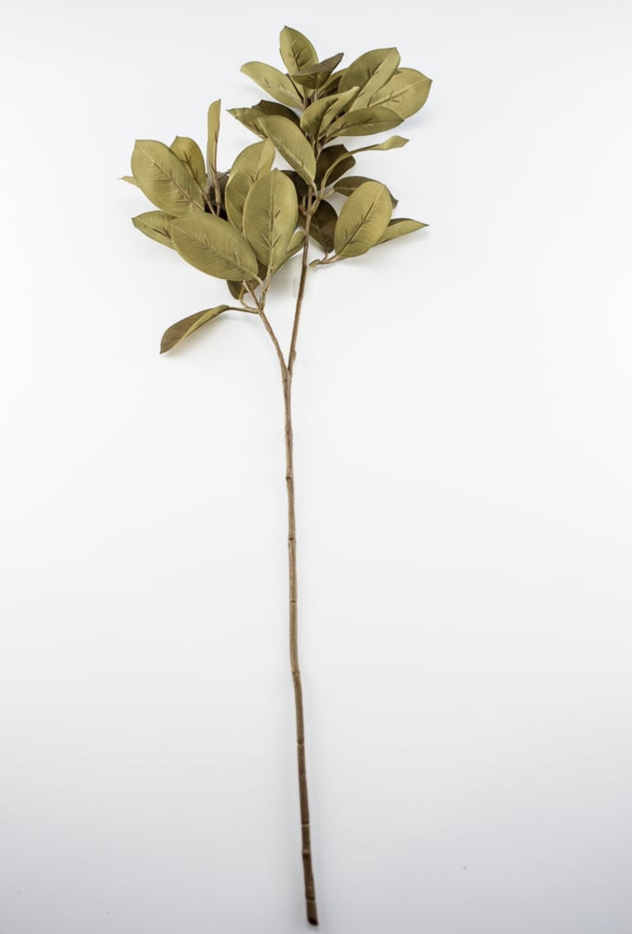 Autumn leaf spray - green - Greenery Market