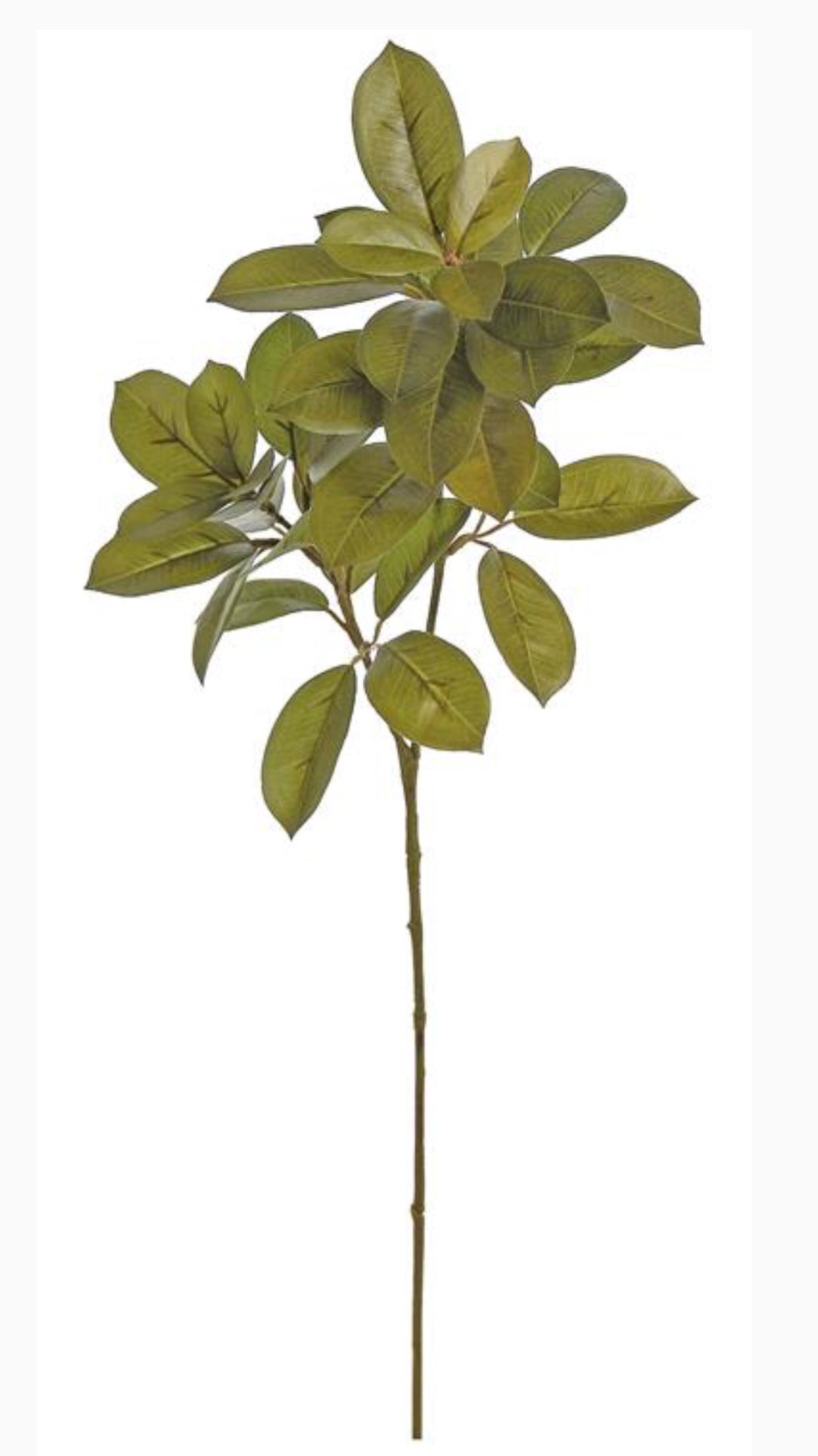 Autumn leaf spray - green - Greenery Market