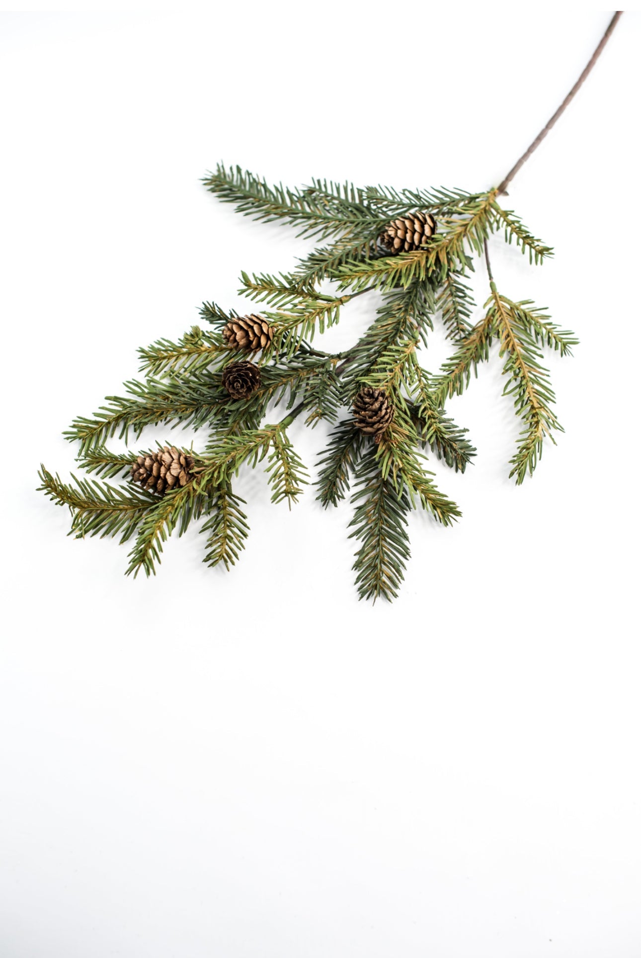 Bald cypress evergreen greenery spray - Greenery Market