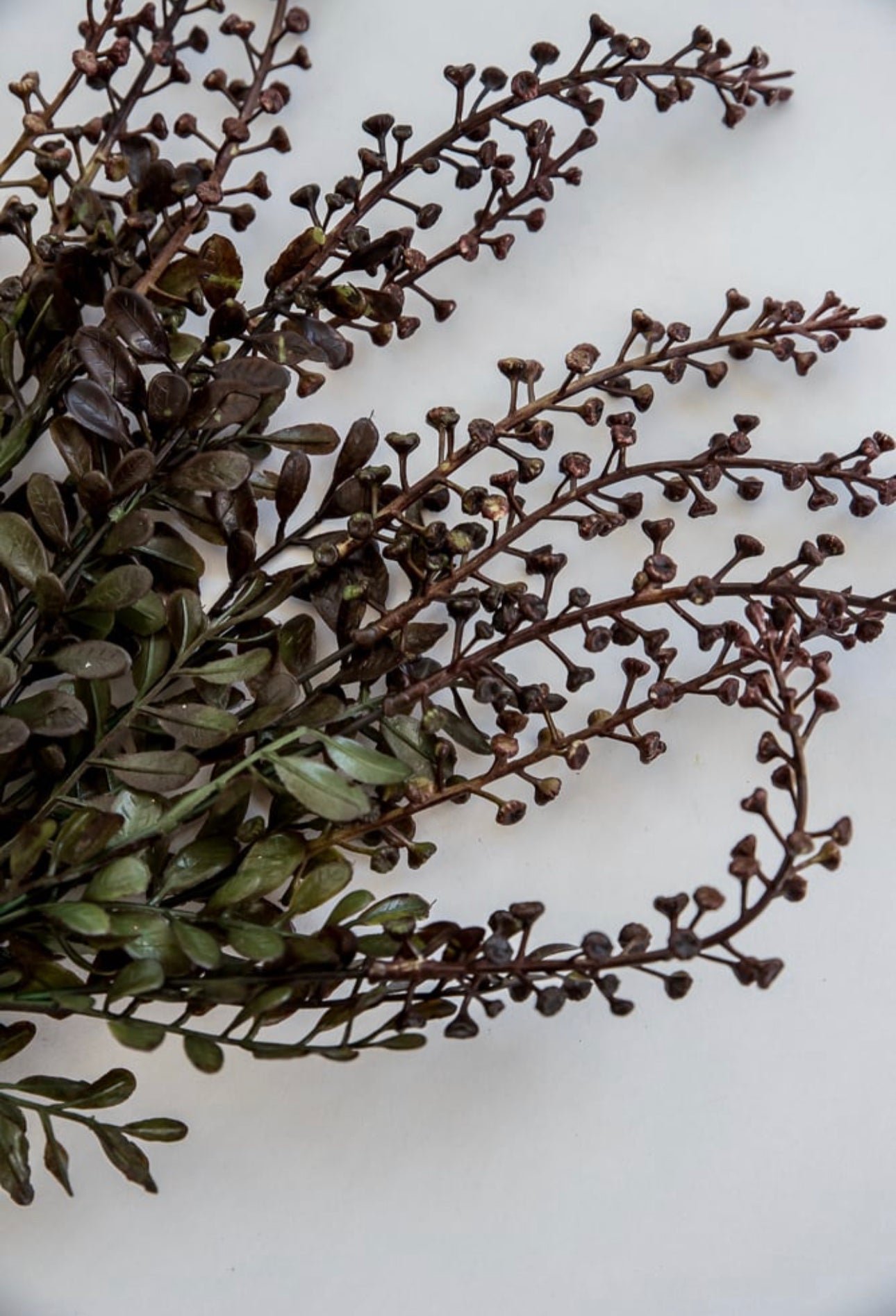 Berry leaf greenery bush -plum wine - Greenery Market