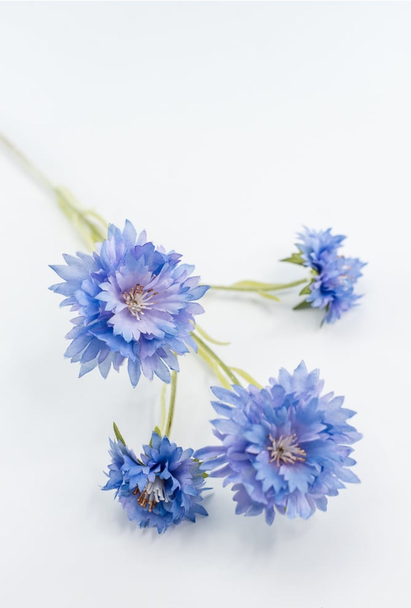 Blue Cornflower Stem - Greenery Market