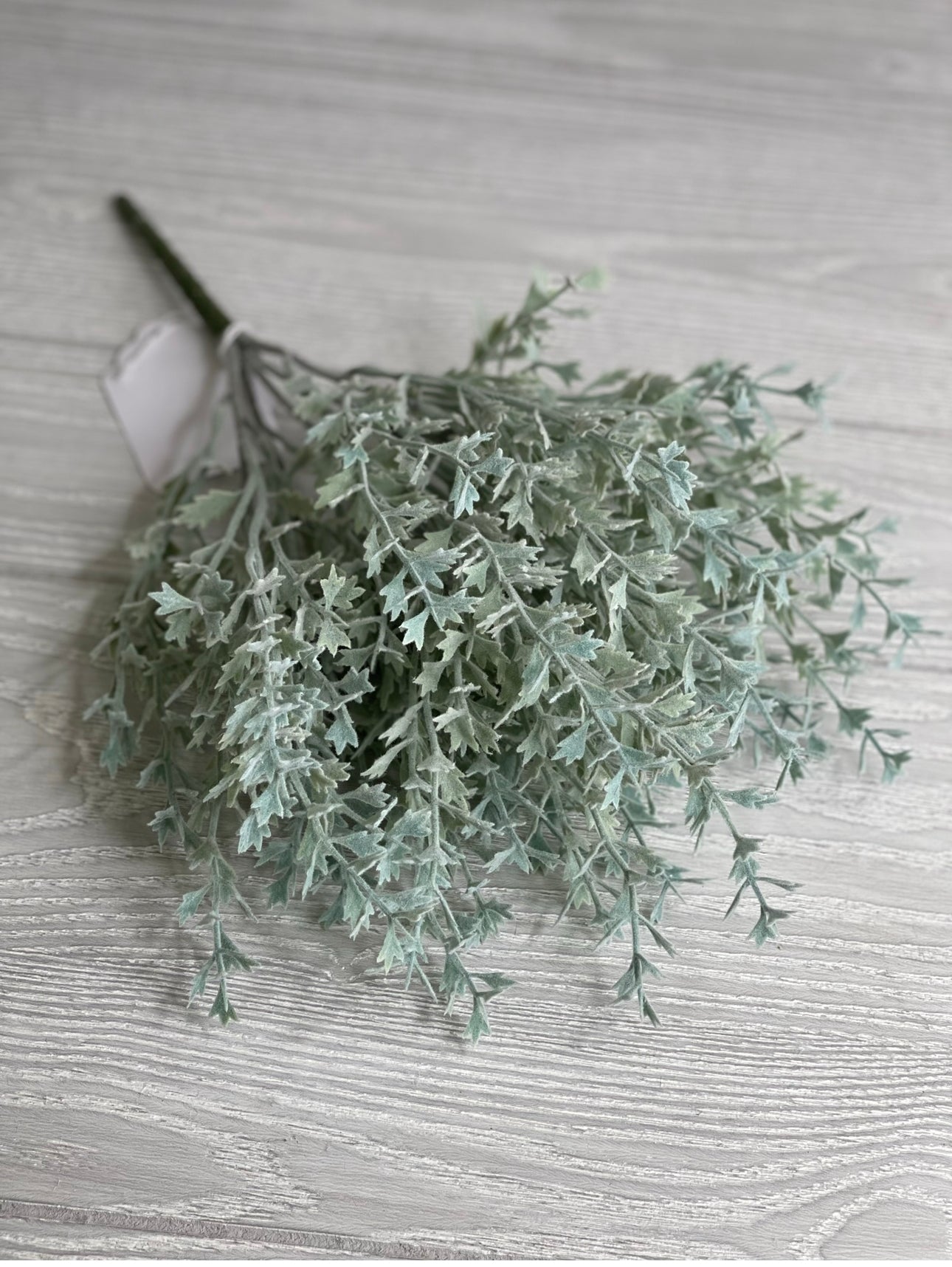 Blue green greenery bush - Greenery Market