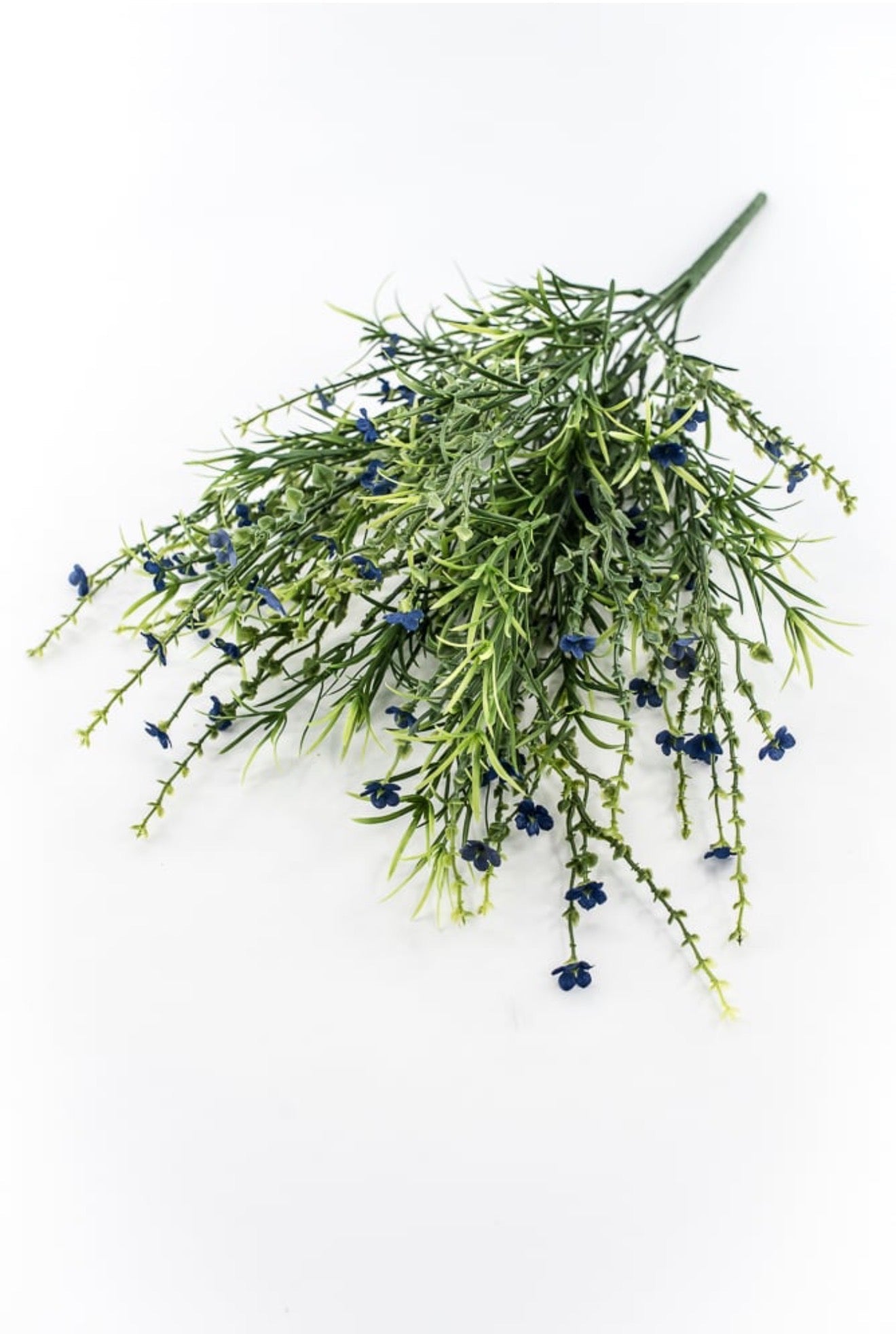 Royal Blue Mixed Forget Me Not - 21" - Greenery Market