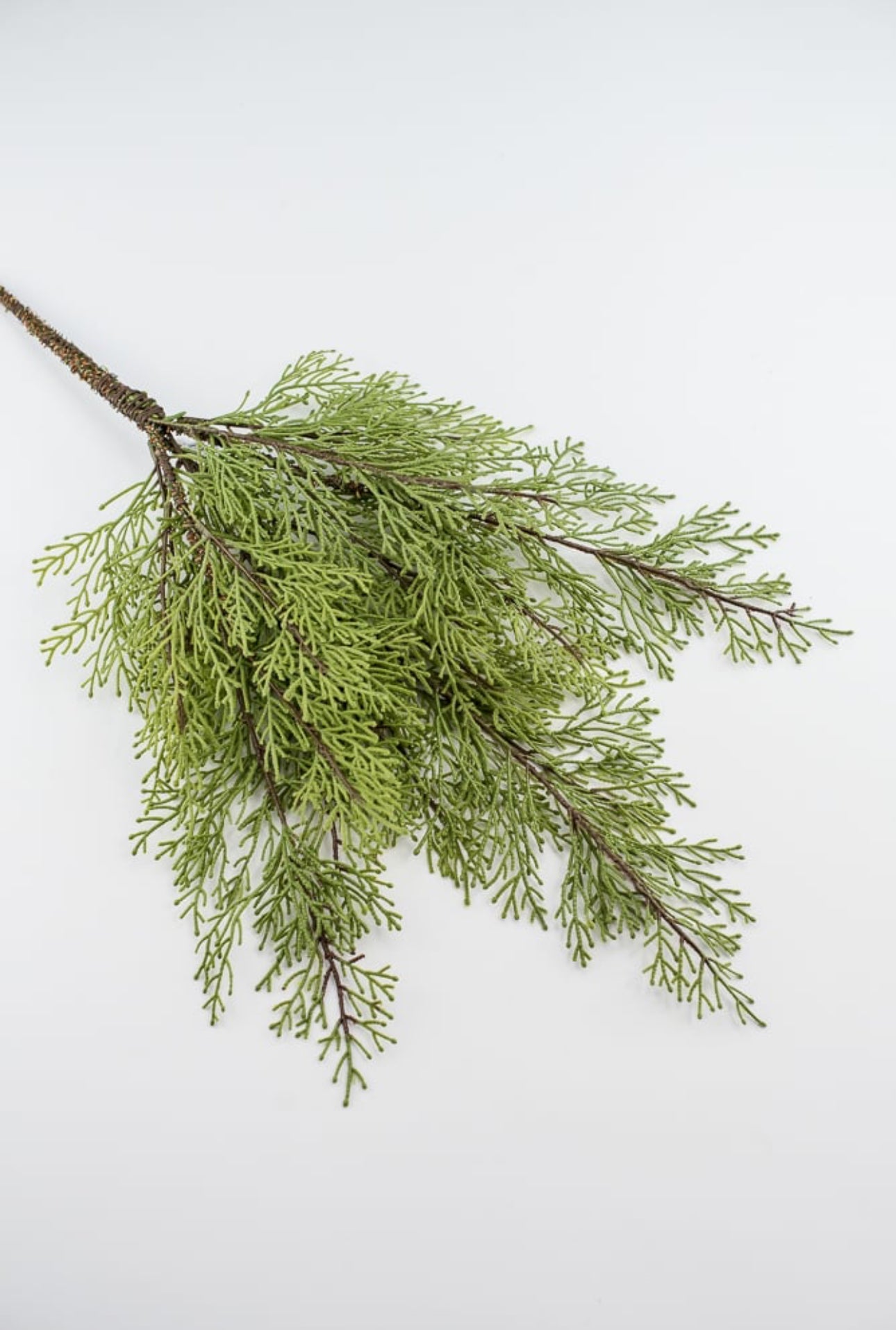 Cedar evergreen spray - Greenery Market