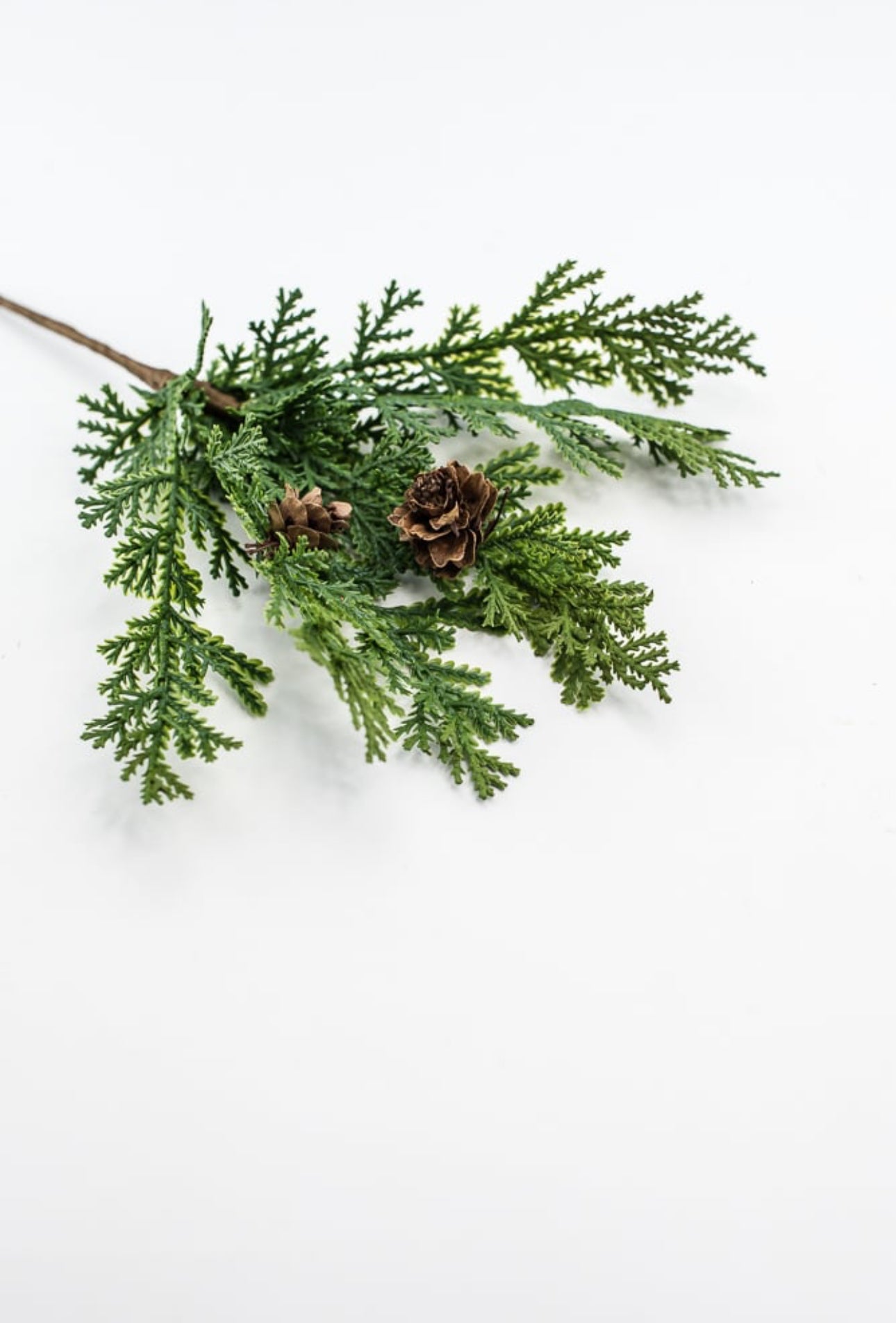 Cedar picks - bulk buy x 3 - Greenery Market