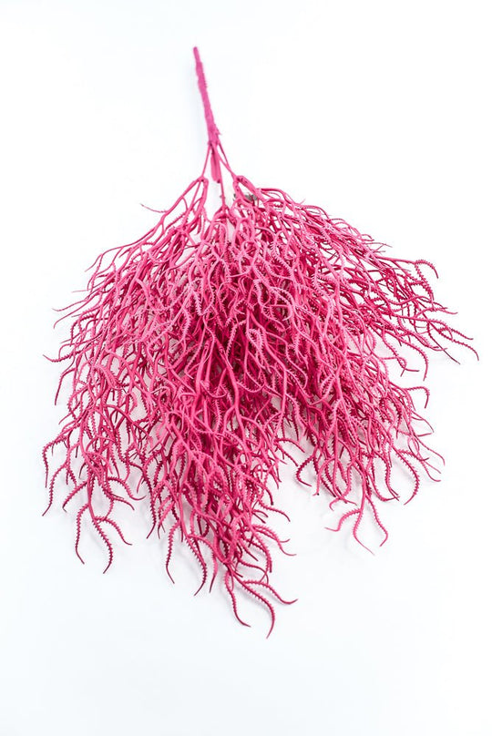 Cottonii seaweed bush - Pink - Greenery Market