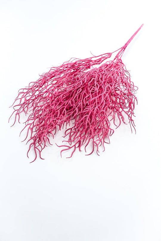 Cottonii seaweed bush - Pink - Greenery Market