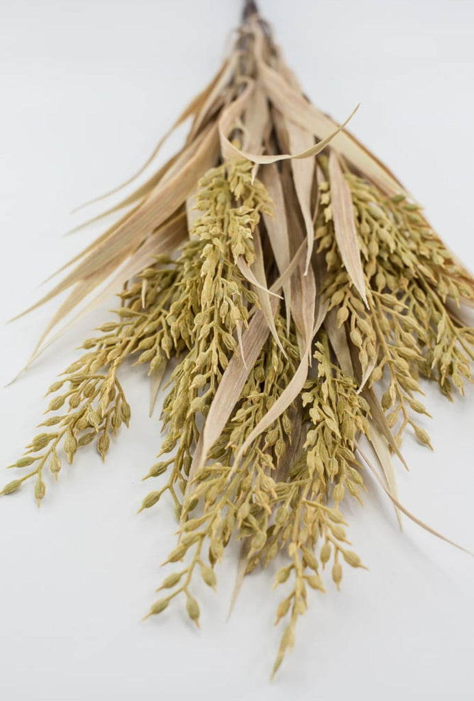 Cream mustard wheat grass bush - Greenery Market