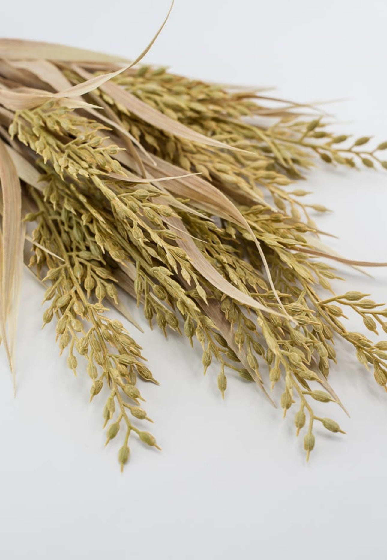 Cream mustard wheat grass bush - Greenery Market
