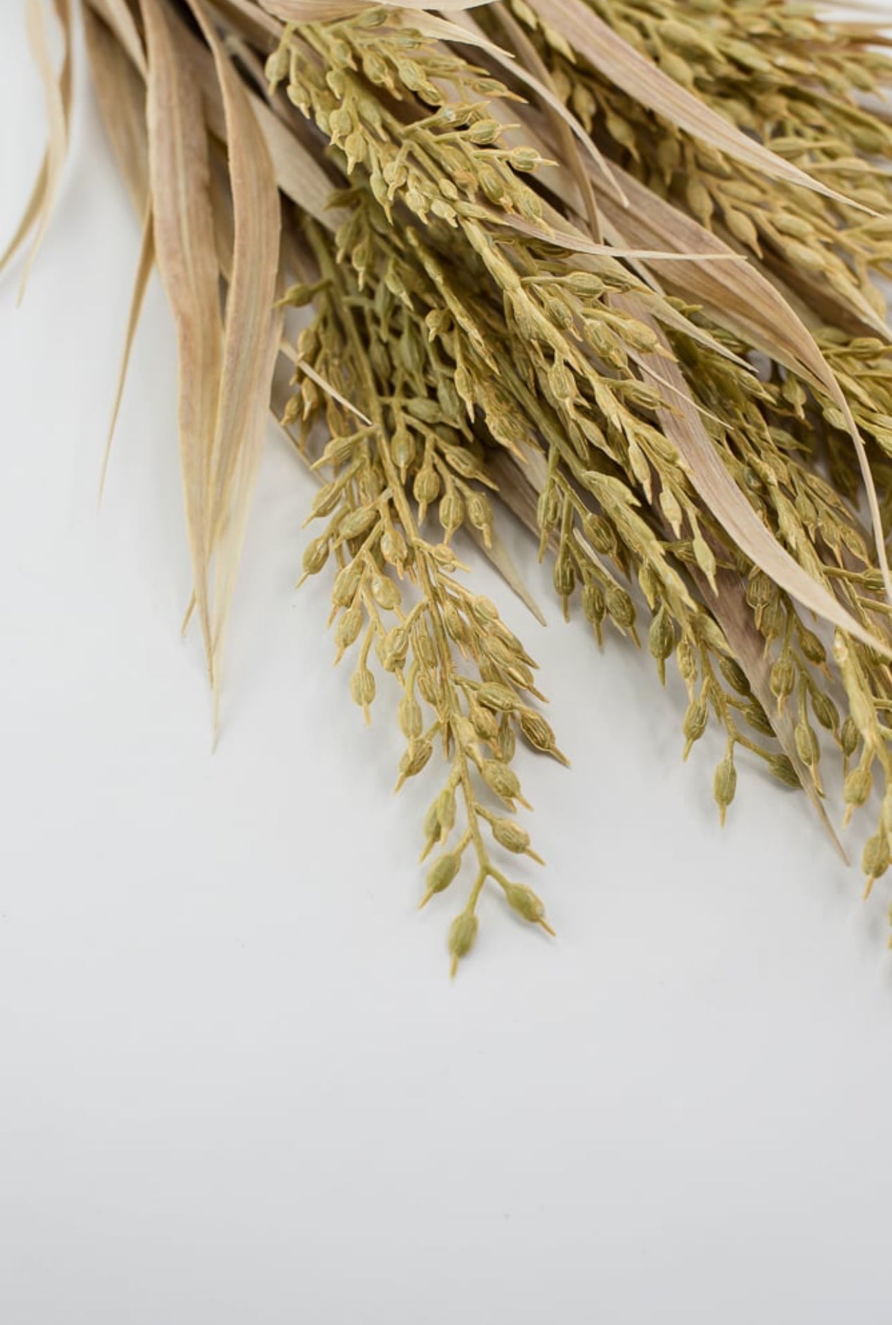 Cream mustard wheat grass bush - Greenery Market
