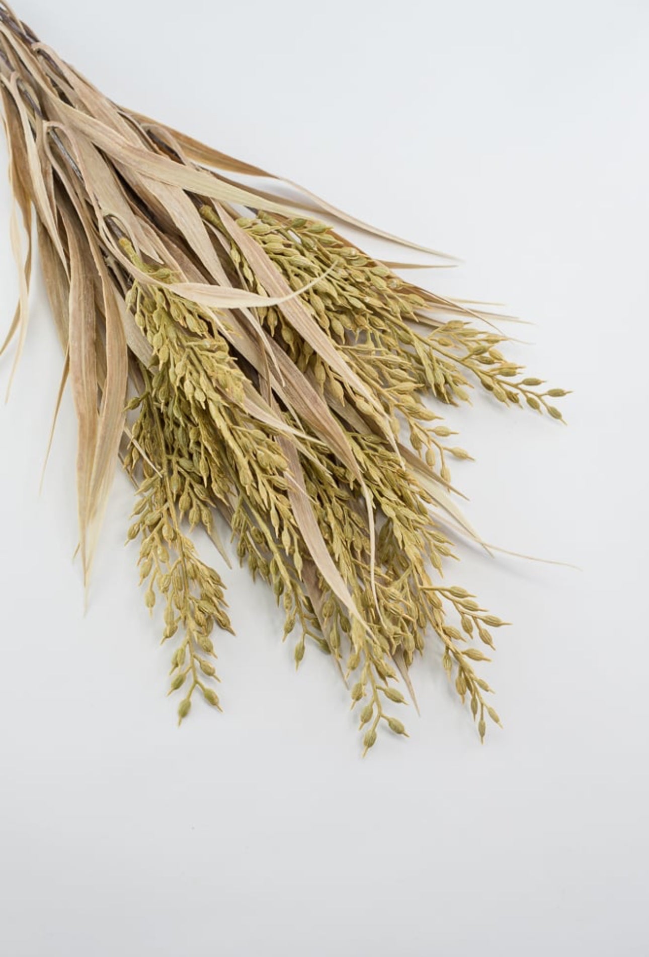 Cream mustard wheat grass bush - Greenery Market