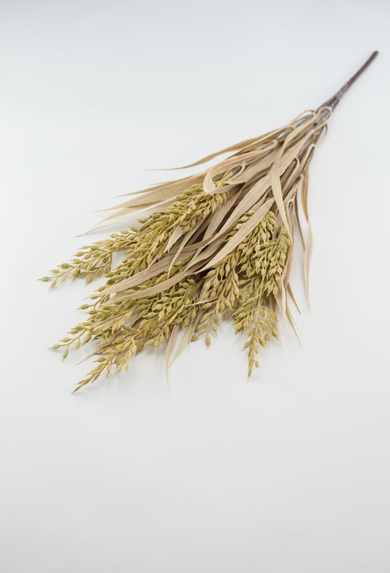 Cream mustard wheat grass bush - Greenery Market