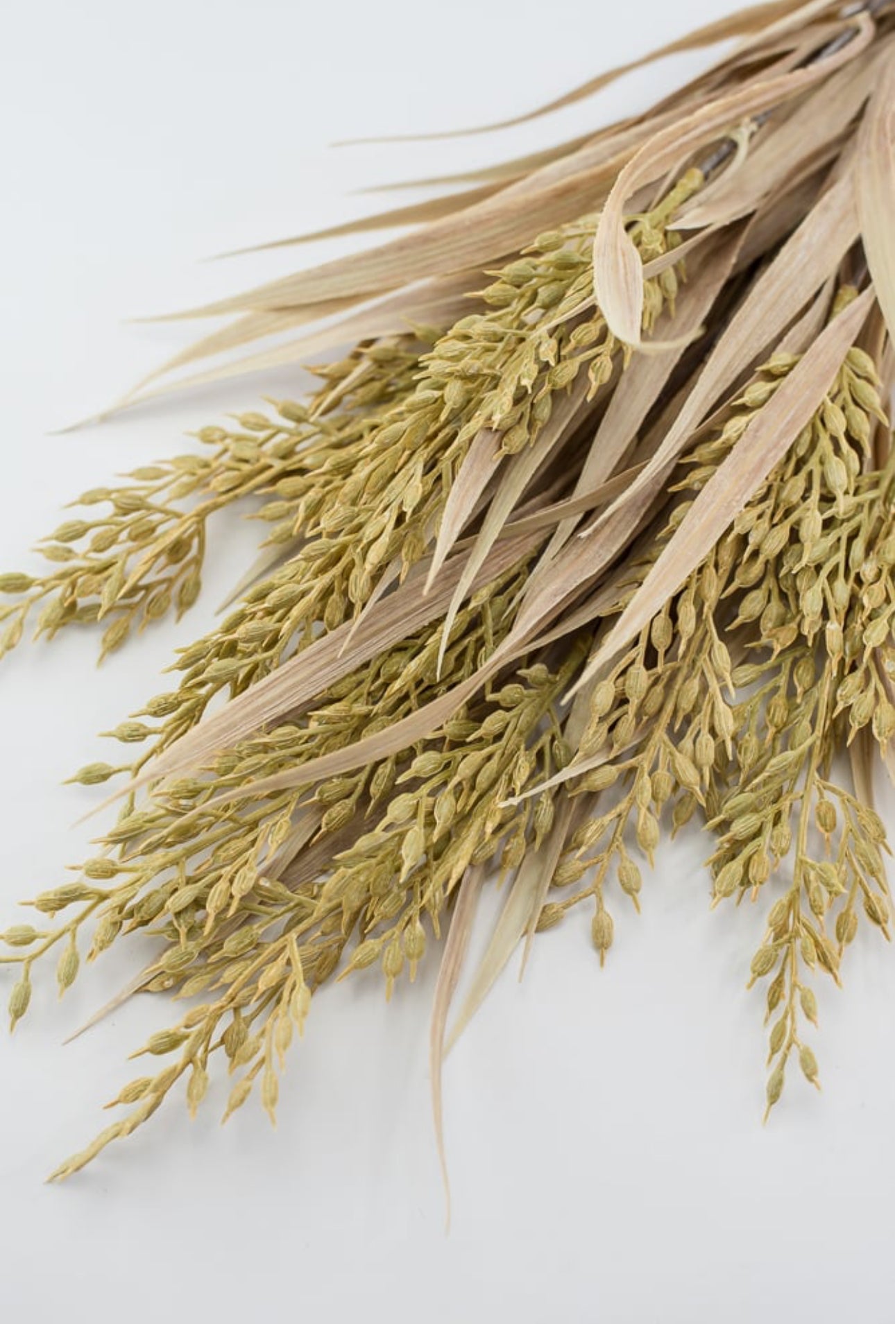Cream mustard wheat grass bush - Greenery Market