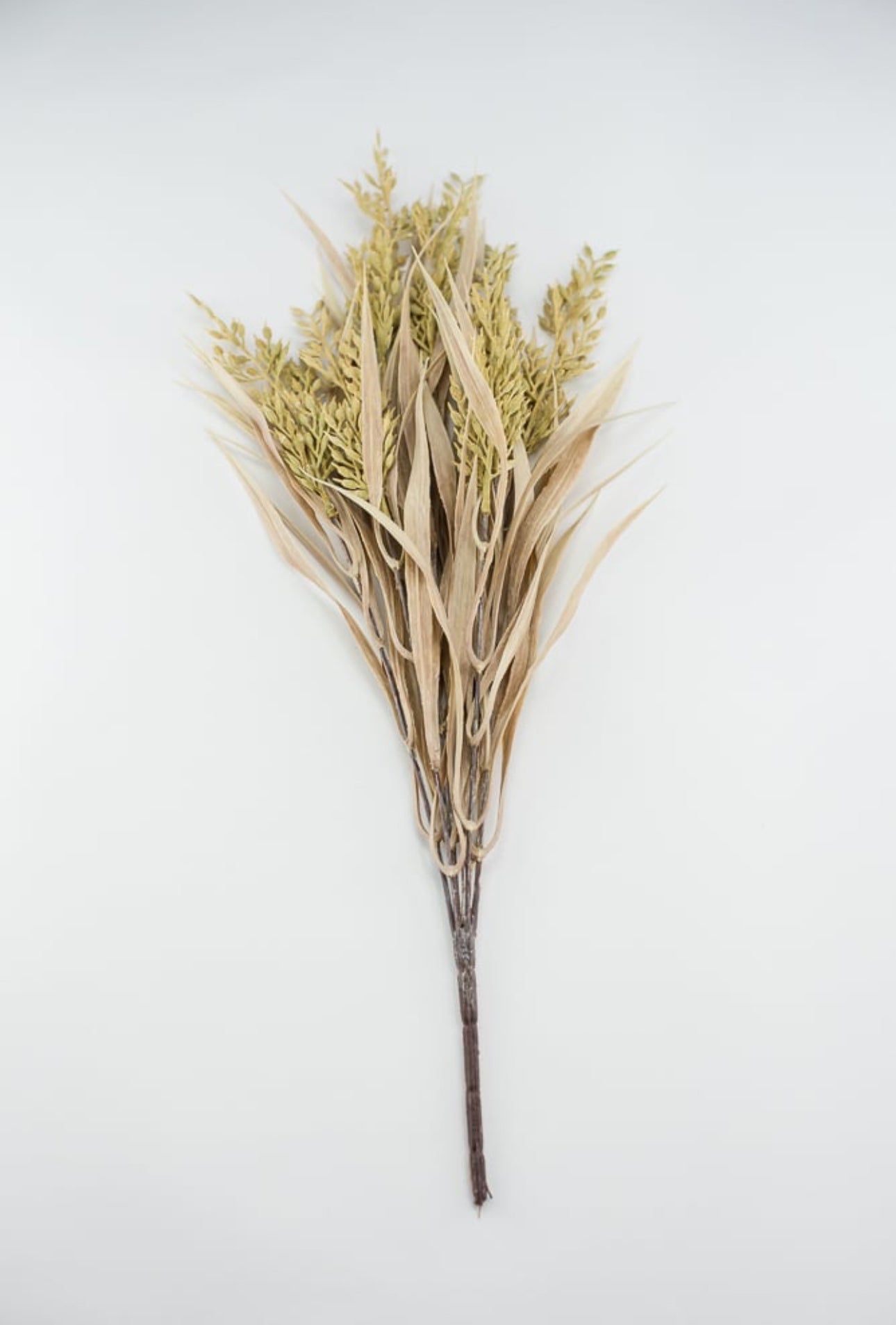 Cream mustard wheat grass bush - Greenery Market