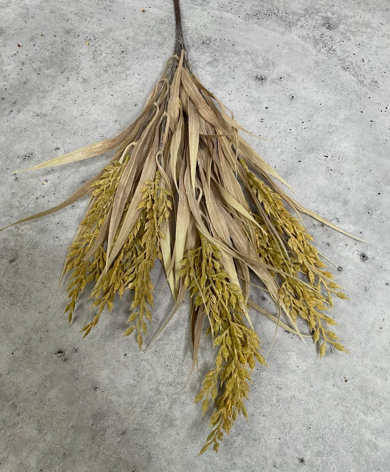 winter greenery – Greenery Market