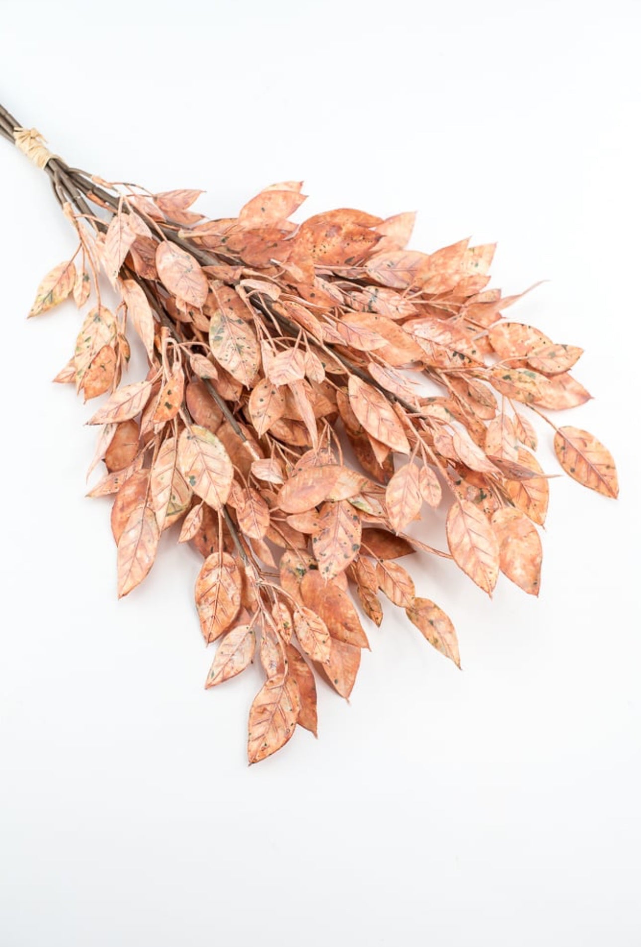 Creamy Peach Leaves Bundle - Greenery Market