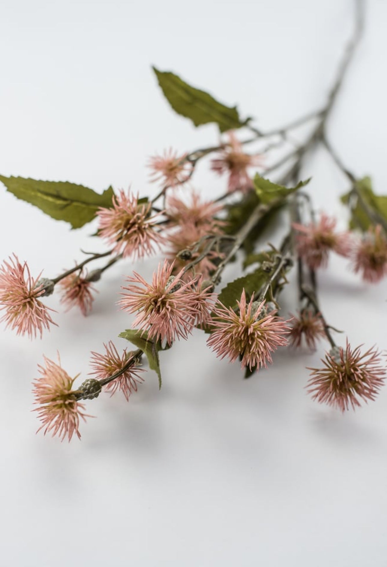 Dusty Pink, thistle spray - Greenery Market