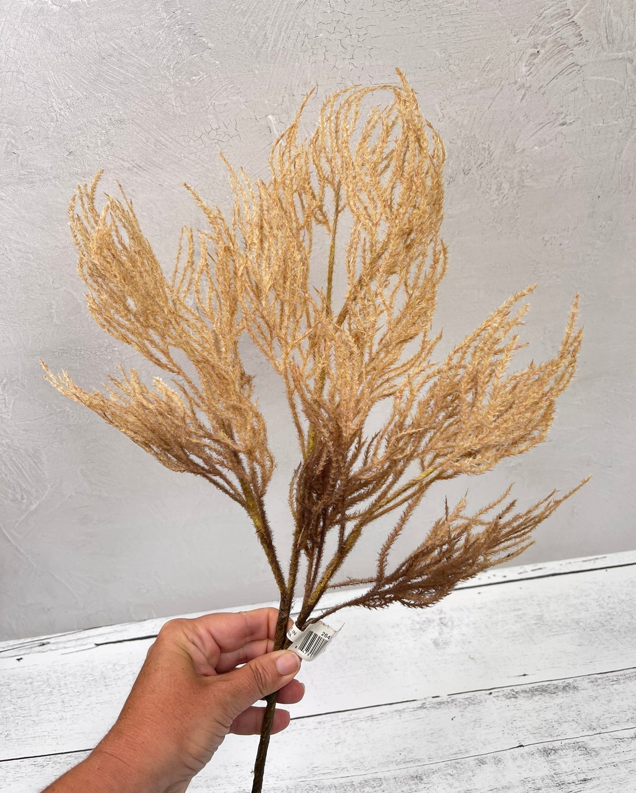 Faux Dried reed spray - tan - Greenery Market