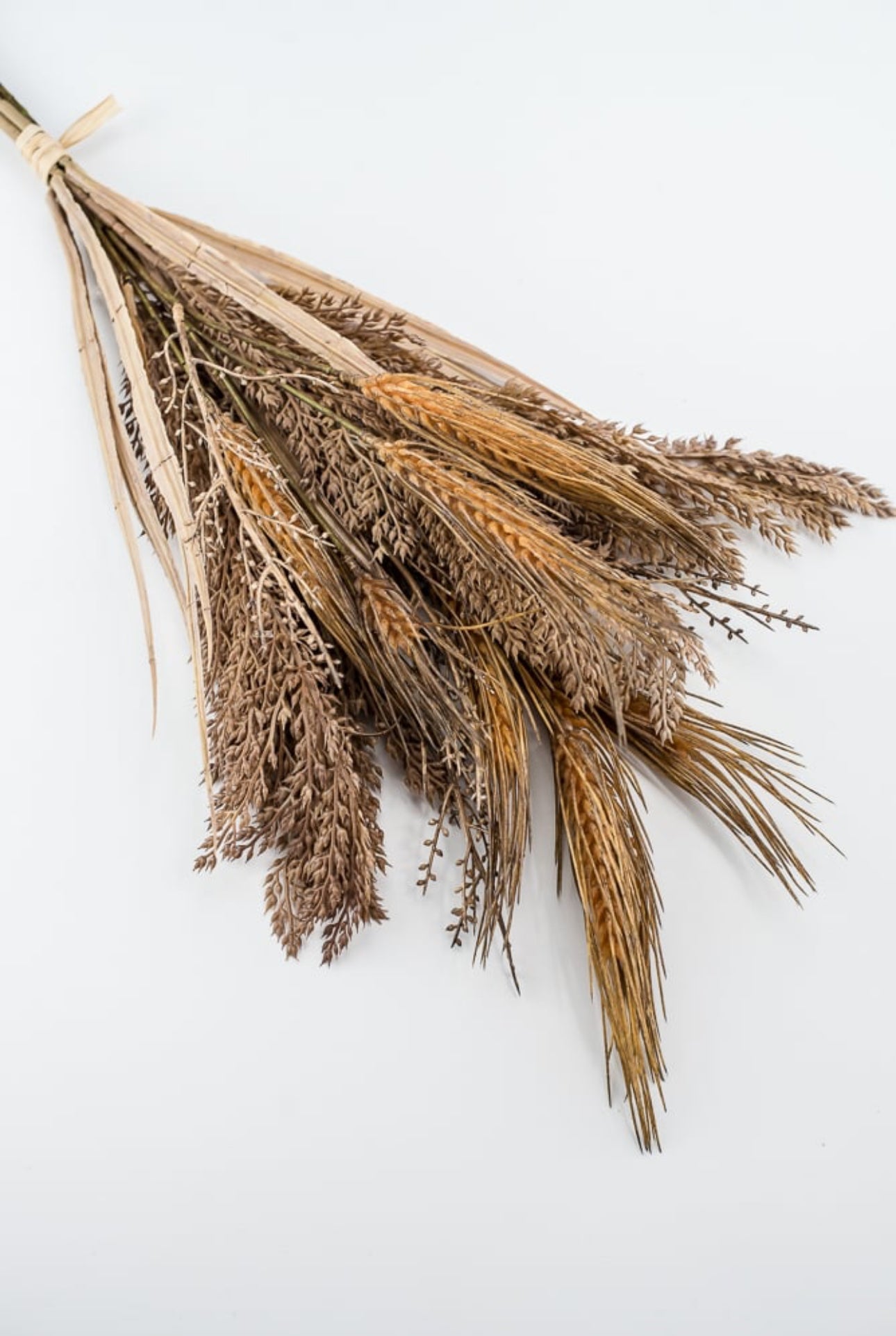 Faux dried wheat grass bundle - brown - Greenery Market