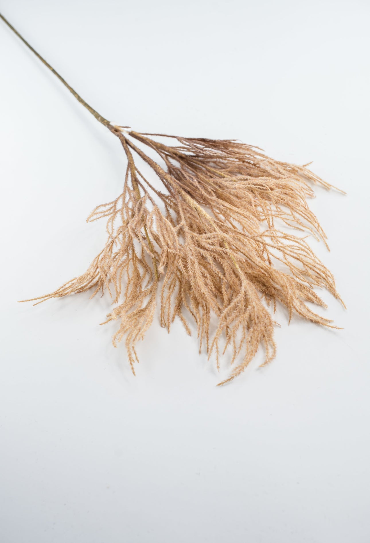 Faux Dried reed spray - tan - Greenery Market