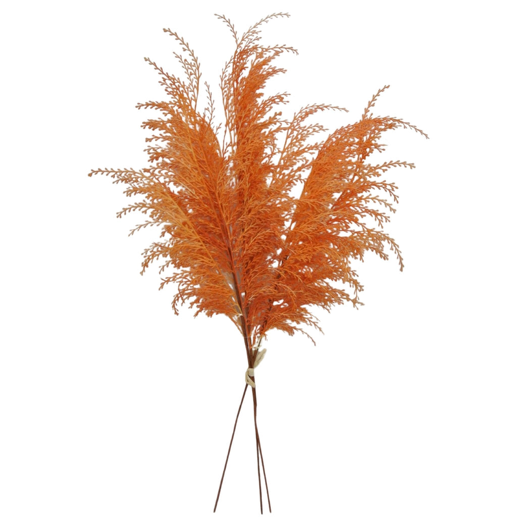 Feather fern bundle - orange - Greenery Market