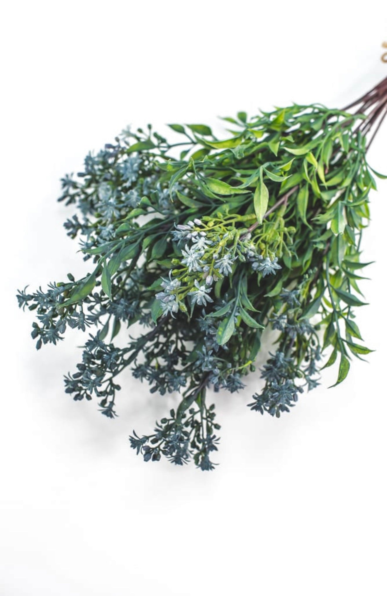 Flower and nandina bundle - blue - Greenery Market