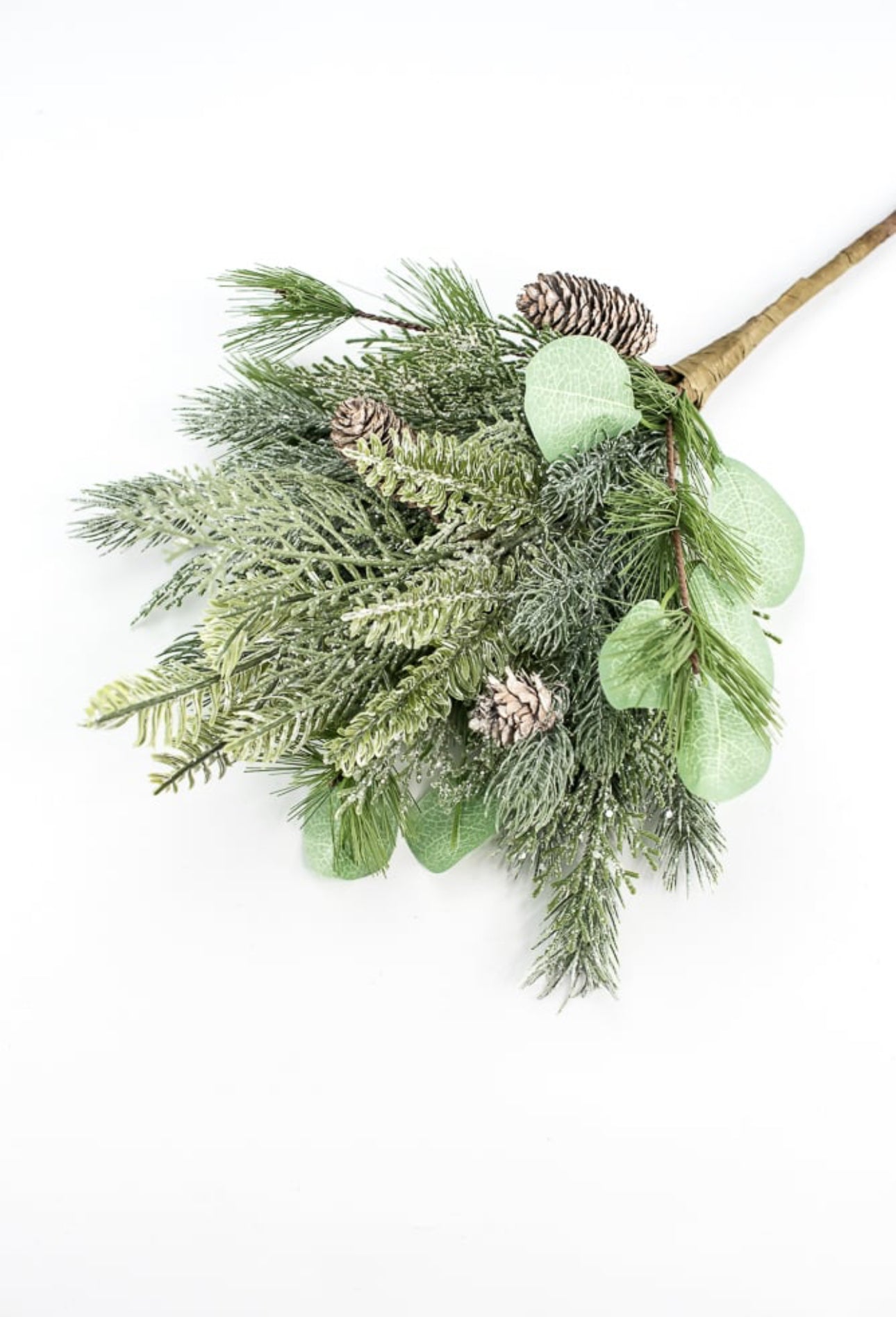 Forrest glory pine, eucalyptus, and cone bush - Greenery Market