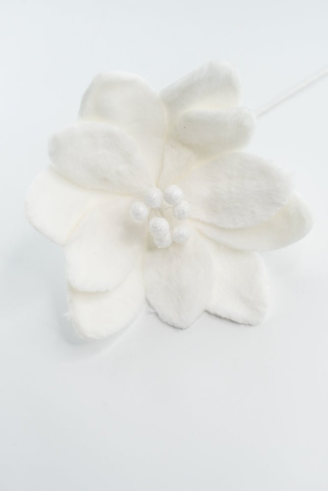 Furry Magnolia Stem - GM Exclusive - Greenery Market