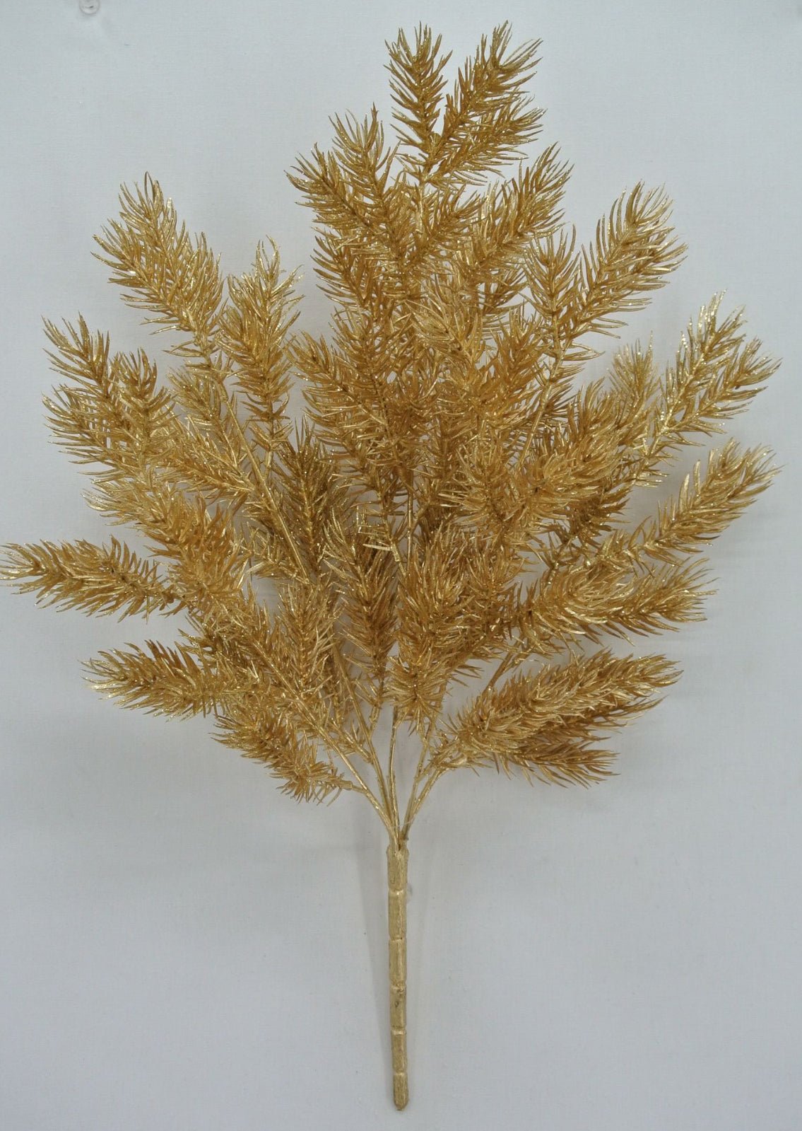 Gold pine bush - Greenery Market